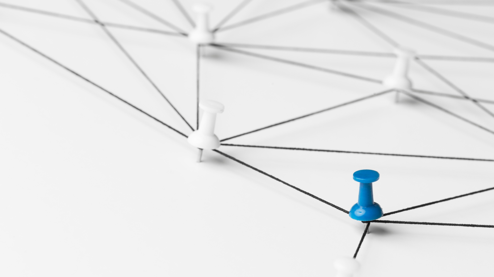 PDG Home - Performance Development Group